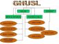 A STEP-BY-STEP GUIDE ON HOW TO PERFORM GHUSL – 3 S I X T Y I S L A M
